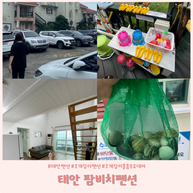 태안 조개잡이 펜션 │ 태안 팜비치펜션 조개잡이펜션 7명단체펜션 추천 네이버 블로그
