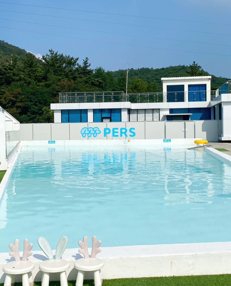 경주 애견 동반 숙소 추천 퍼스펫 애견펜션 네이버 블로그