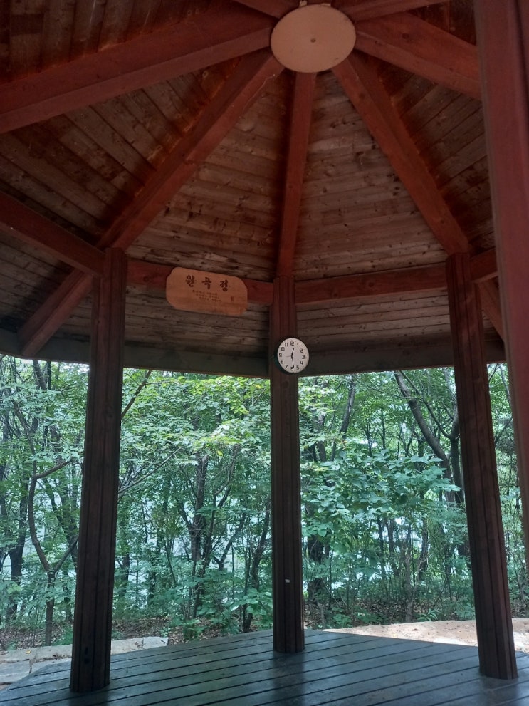 서리풀공원 산책길 : 네이버 블로그