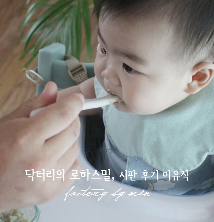 9개월 아기 후기 이유식 양과 스케줄 With닥터리의 로하스밀 이유식 네이버 블로그