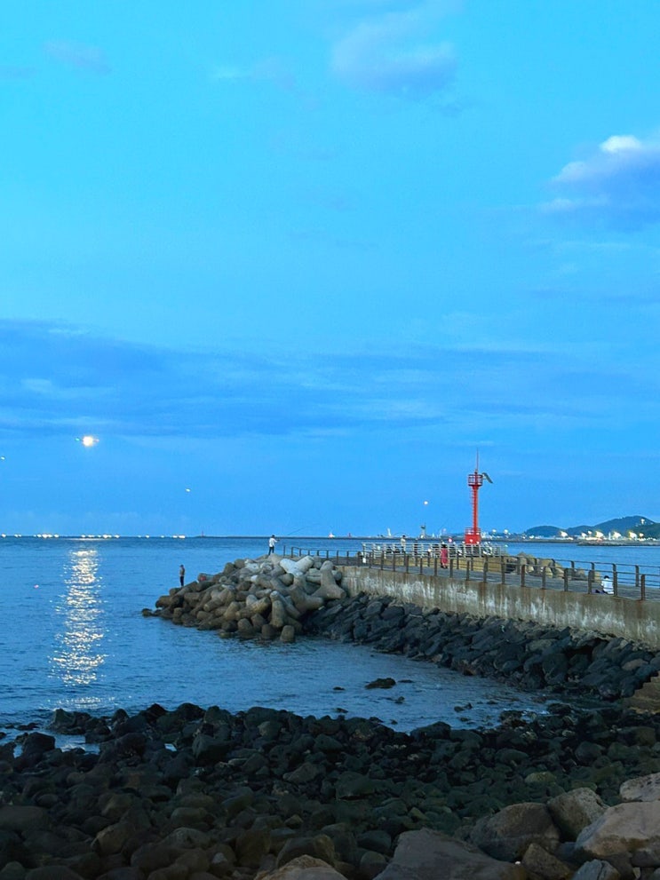 제주 듀포레(Douxforet)/ 제주시 용담해안도로 서해안로 579_해안도로 야경 및 루프탑에서 보는 비행기가 예쁜 포토존 ...