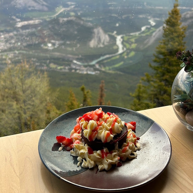 밴프 여행 Northern Lights Alpine Kitchen 캐내디언 로키 산맥 밴프 곤돌라 뷰 맛집 레스토랑 캐나다 ...