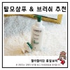 올리브영 세일 탈모 샴푸 추천템 남자 여자m자 탈모완화샴푸 브러쉬 네이버 블로그