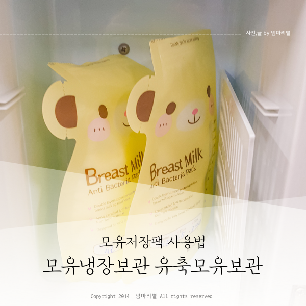 모유냉장보관 모유저장팩 사용법 유축모유보관 모유유축보관 네이버 블로그