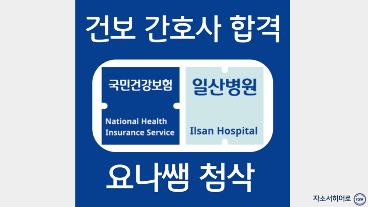국민건강보험공단 일산병원 간호사 채용 합격 자소서 첨삭 네이버 블로그