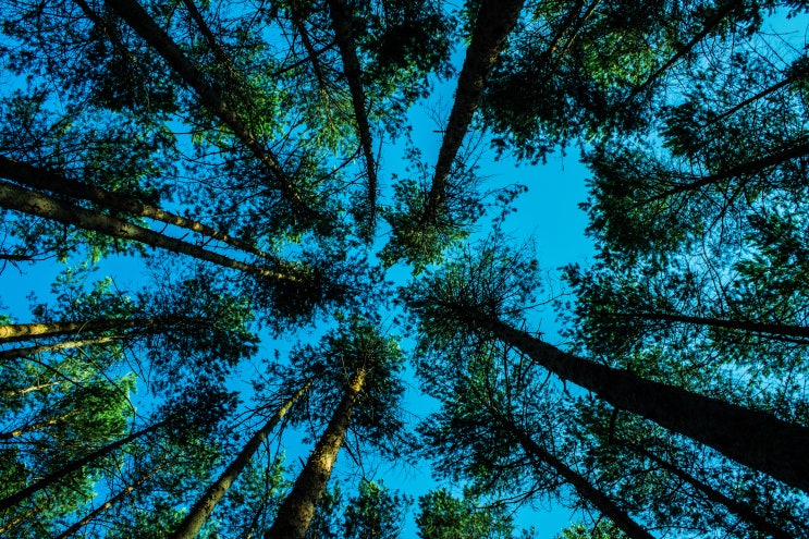 [721회 카메라타 공연] '8월, 8중주의 밤' 도무스 앙상블 Domus Ensemble 공연 : 네이버 블로그