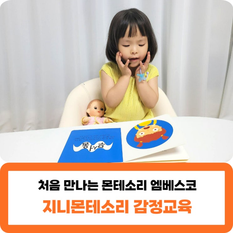 처음 만나는 몬테소리 엠베스코 지니몬테소리 유아교구 감정카드 활용 홈스쿨 5세교육 네이버 블로그