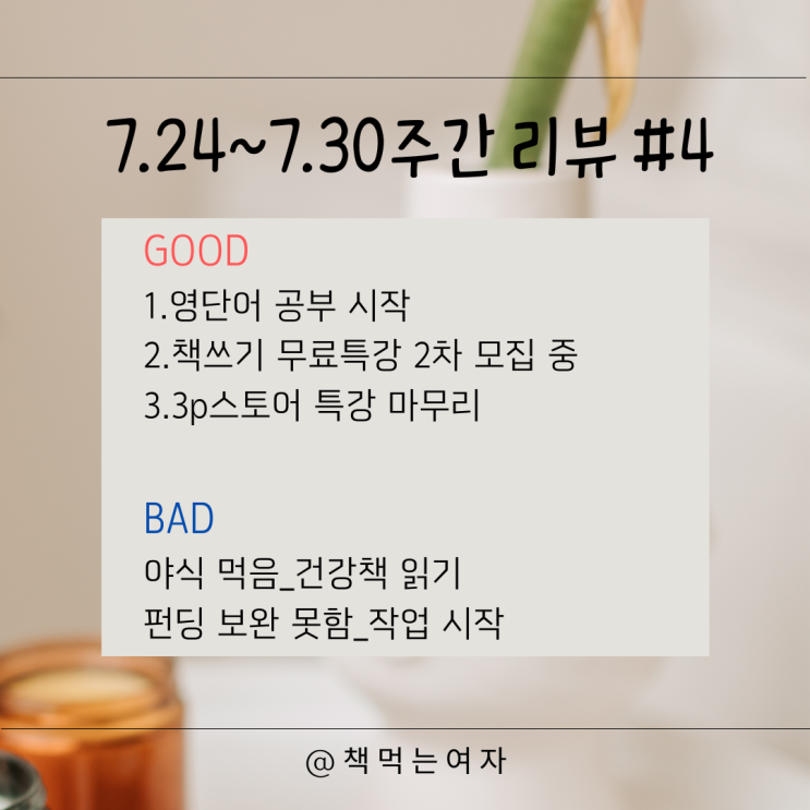 3p바인더 주간 리뷰 1인기업 책먹는여자 네이버 블로그