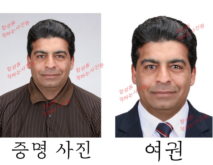 23년 여권 사진 규정 최신판 비자 임용 수능 거의 동일 네이버 블로그