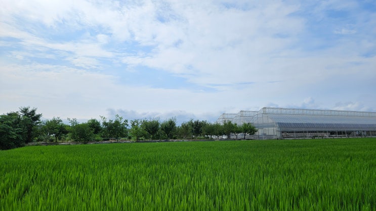 토지용어 - 대지 택지 부지 필지 획지 건부지 나지 개념 정리 : 네이버 블로그