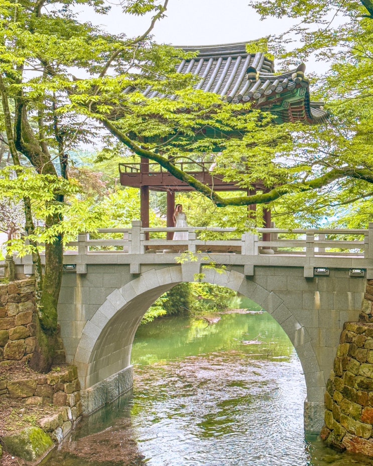구례여행 천은사 미스터션샤인 포토존 애견동반 불가 네이버 블로그