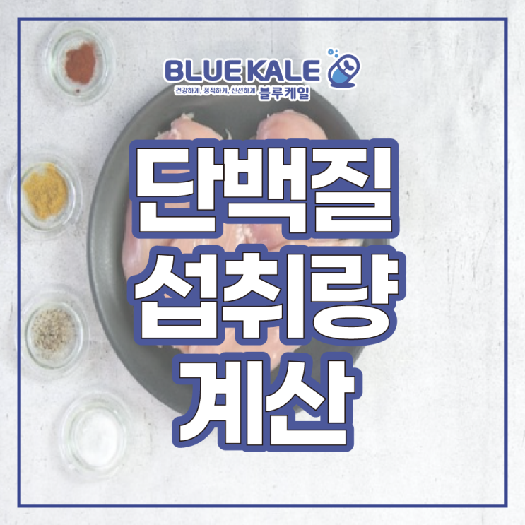단백질 섭취량 계산하는 법 살펴보아요 네이버 블로그