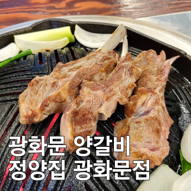 종각 회식장소 정양집 광화문점 광화문 양갈비 맛집으로 추천 네이버 블로그