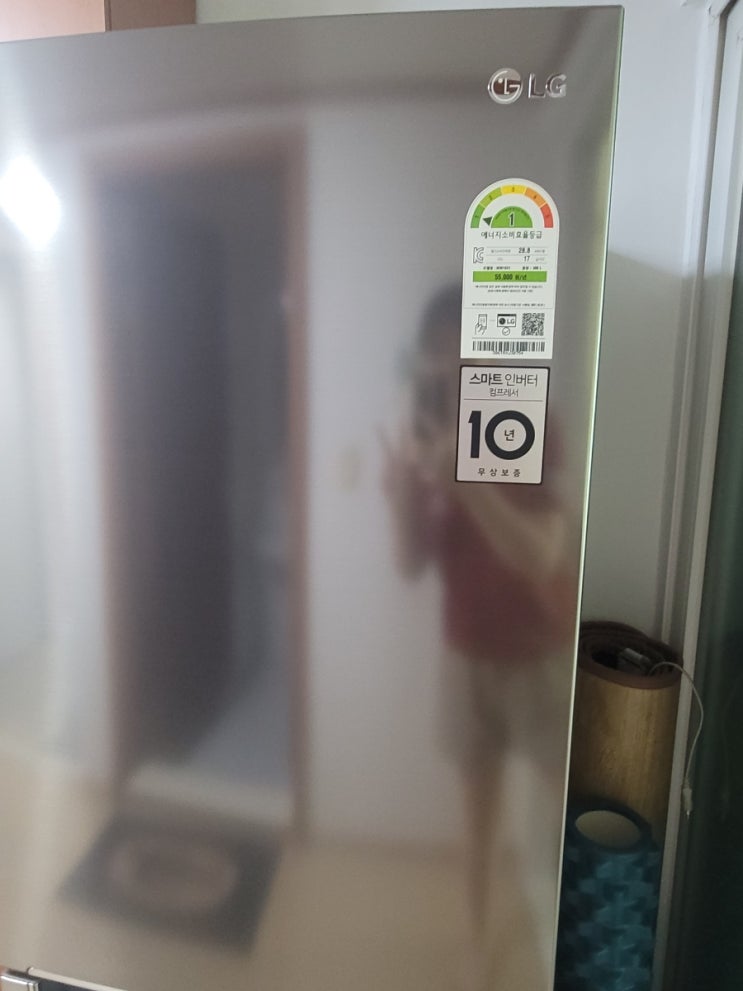 LG 모던엣지 냉장고 M301S31 구매 후기 : 네이버 블로그
