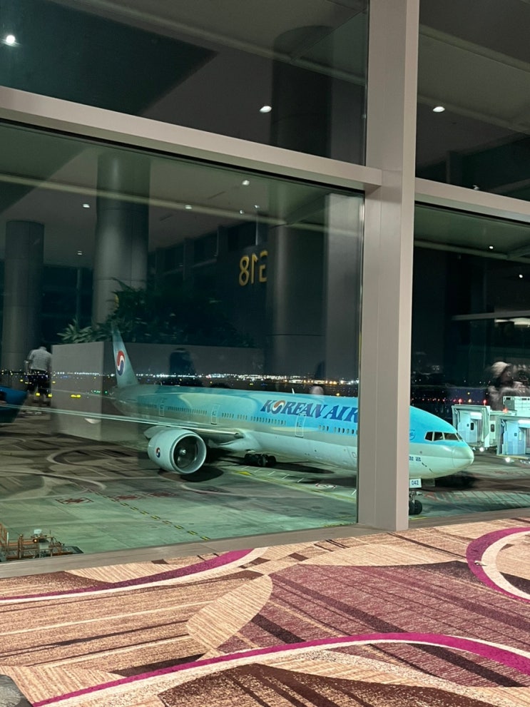 싱가포르 노랑풍선 패키지 / 대한항공 KE645, KE646 / 오키드호텔 후기 (사전좌석지정, sg카드 발급 등) : 네이버 블로그