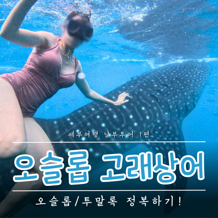 세부 오슬롭 고래상어 투어 투말록 폭포 인생 사진 찍는 팁 준비물 투어 취소 네이버 블로그
