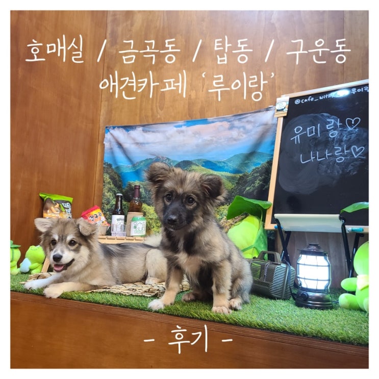 호매실애견카페수원역애견카페금곡동애견카페 루이랑” 애견동반카페 추천 네이버 블로그