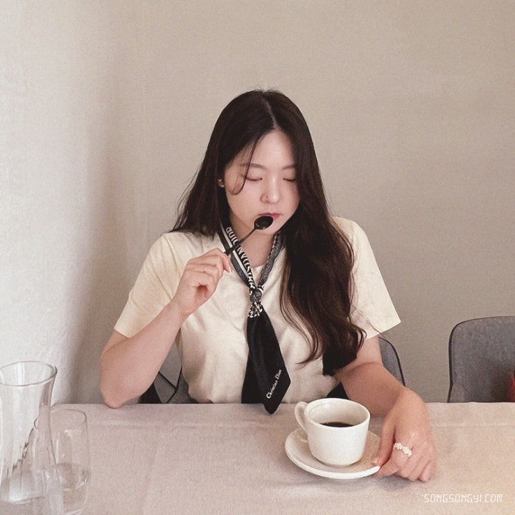 디올 미차 몽테인 스카프 어디든 함께하기 좋은 명품스카프 네이버 블로그