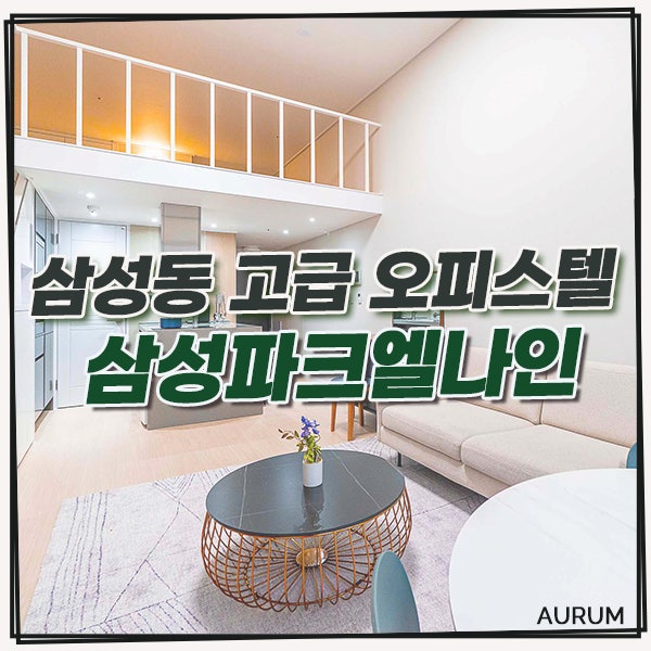 서울 단기 복층 오피스텔 삼성동 원룸 월세 신축 파크엘나인 네이버 블로그