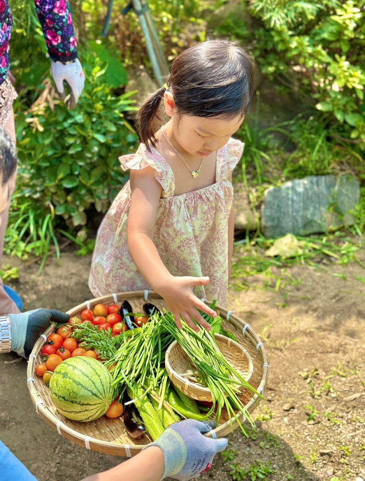 시골농장체험 판교 더팜 프루떼 여름나기 팜크닉 (열매 소쿠리 & 물놀이) @서울 초근접 신상 : 네이버 블로그