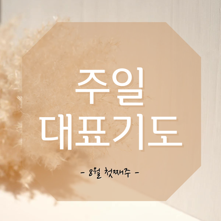 8월 첫째주 대표기도문 주일예배 대표기도 은혜로운 대표기도문 네이버 블로그