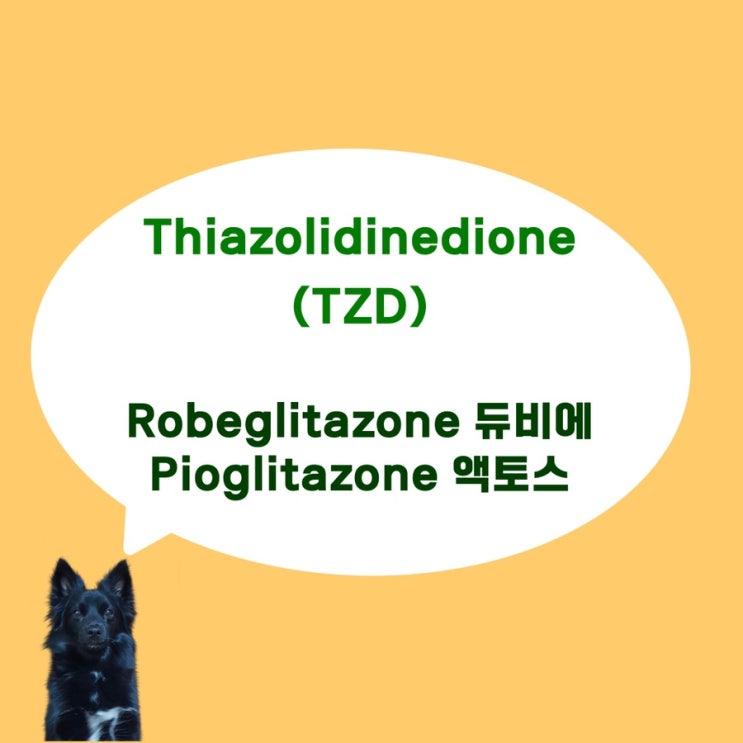 로베글리타존(듀비에) 피오글리타존(액토스) - Thiazolidinedione (TZD) 국내신약, 부작용, 복용법, 주의사항 ...