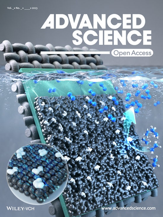 Wiley_Advanced Sciencesience 논문삽화, journal cover image,논문커버디자인 Journal ...