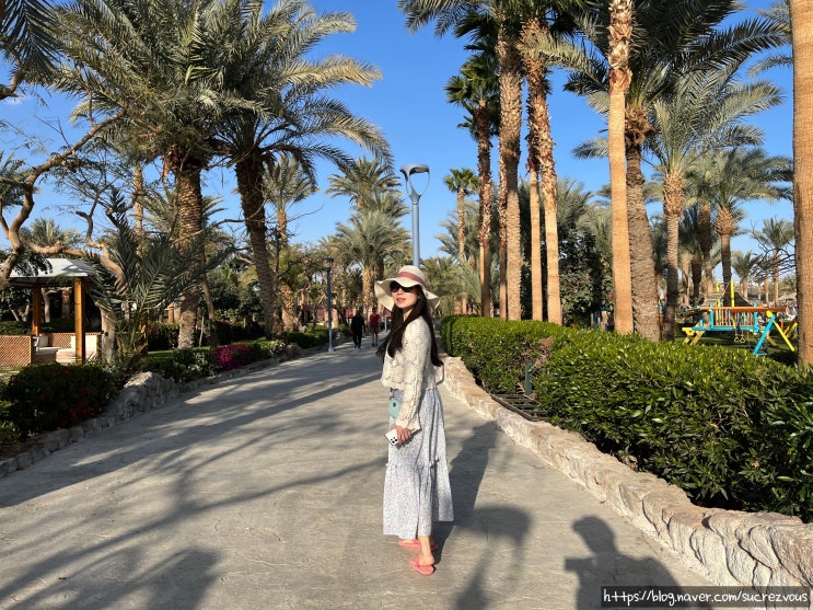 [Ep.34] DAY 9_Sharm el sheikh : 나마베이 시내 즐기기/가성비 극강 0.5박 숙소 추천_Naama Inn ...