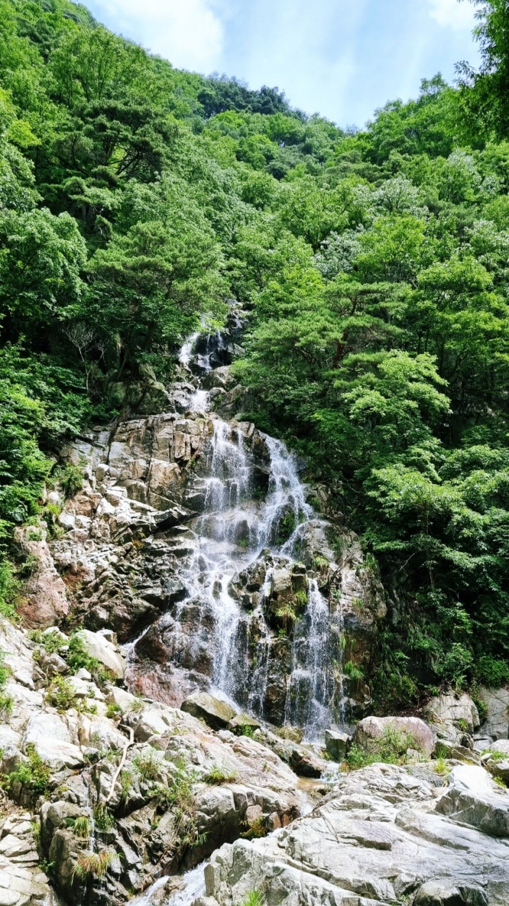 지리산국립공원 남원 구룡계곡 둘레길 구룡폭포(비폭동) : 네이버 블로그