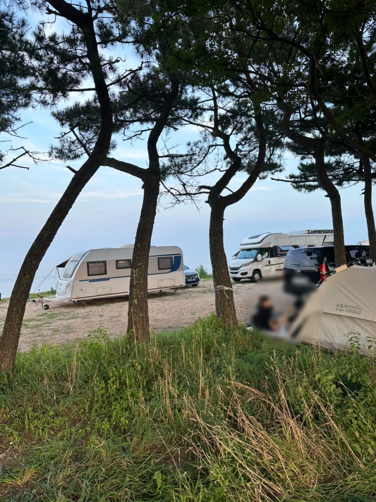 경북 차박장소추천 노지캠핑장소 노지차박 취사가능차박 캠크닉 추천 장사해수욕장 근처 부흥해변 네이버 블로그