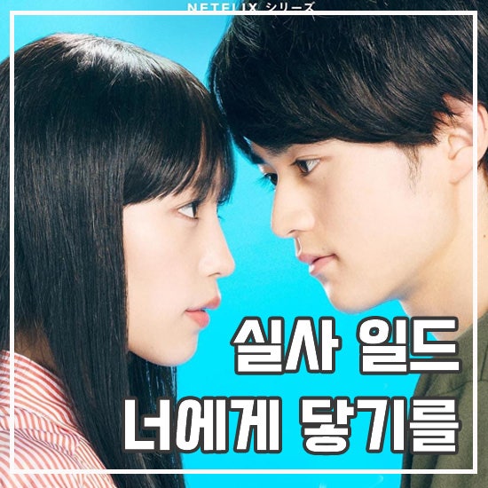 너에게 닿기를 드라마 후기 넷플릭스 청춘 로맨스 일드 네이버 블로그