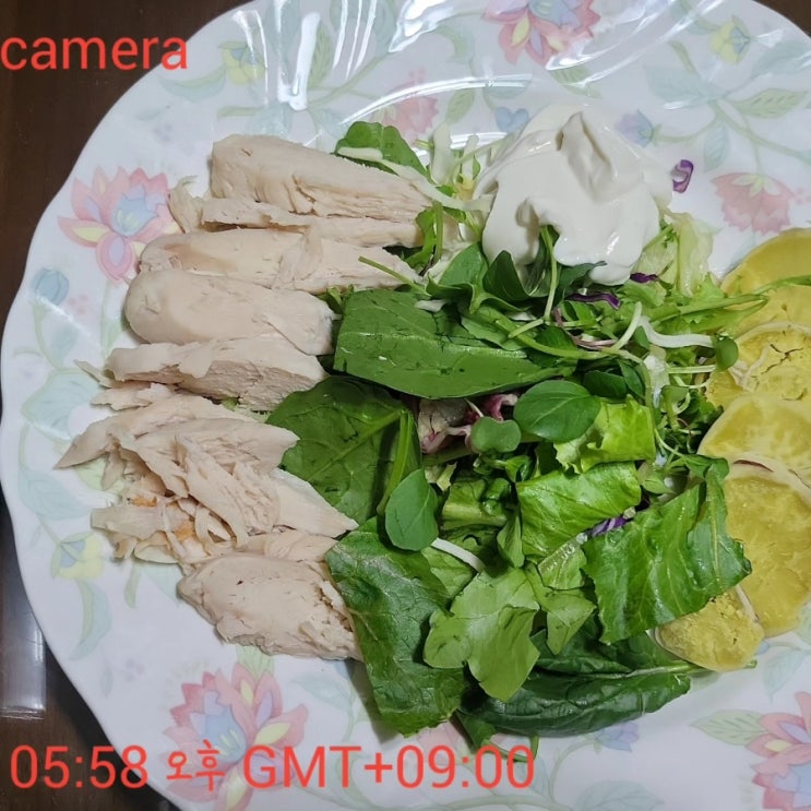 다이어트]삐약스핏49기 체험기 : 네이버 블로그