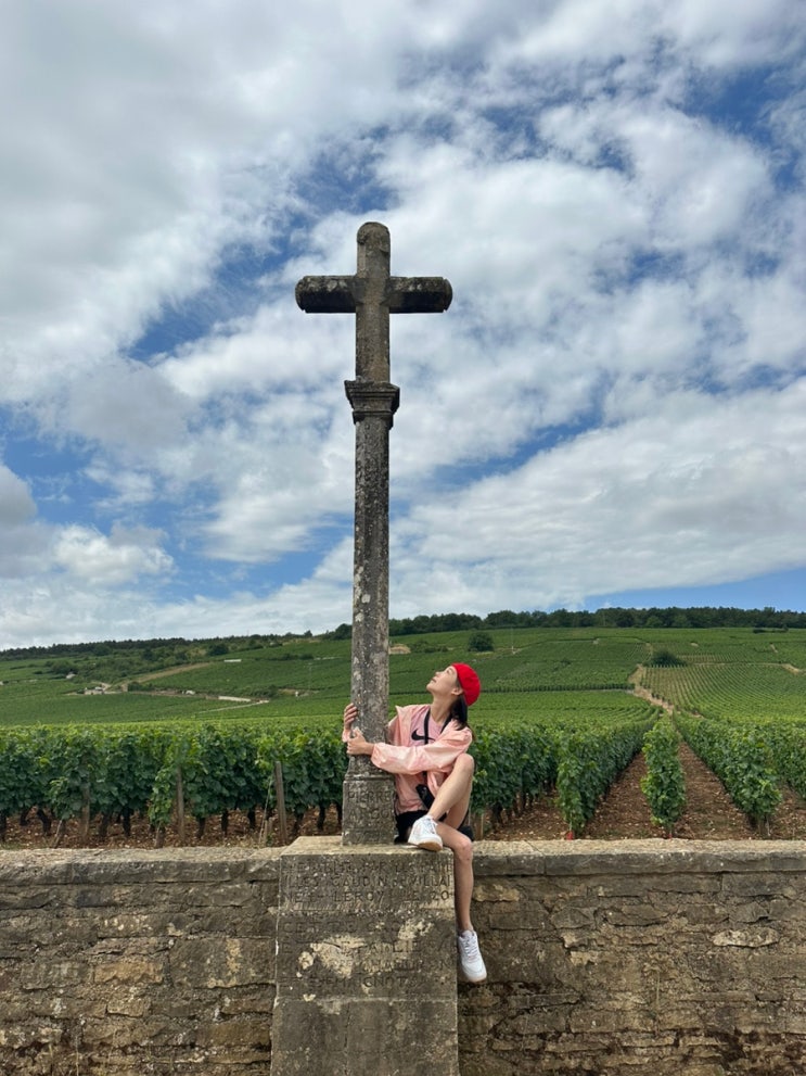 부르고뉴 여행, 로마네꽁띠(Romanee Conti) 포도밭 방문후기 + 전기자전거 빌리는곳 추천 : 네이버 블로그