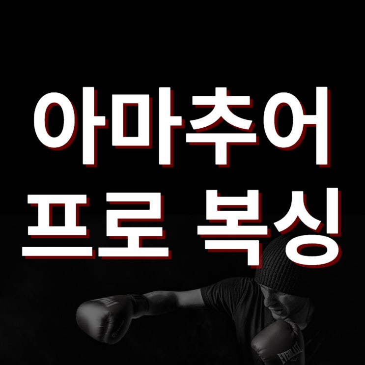 아마추어 복싱 규칙 및 체급(+ 프로 WBA, WBC, IBF, WBO) : 네이버 블로그