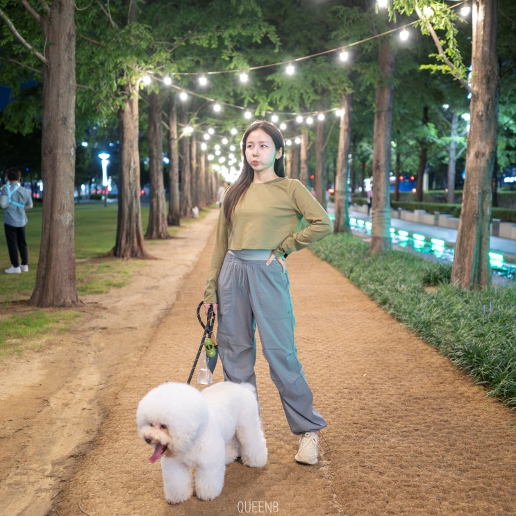 스타일리시 애슬레저 여성티셔츠 뮬라웨어 티셔츠 And 고프팬츠 데일리웨어로 딱 네이버 블로그