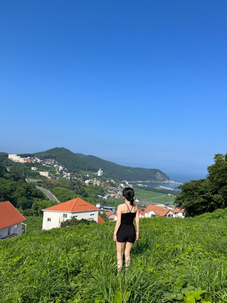 남해 여행 가볼만한 곳 독일마을 섬이정원 상주은모래비치 인스타 포토존 정보 네이버 블로그