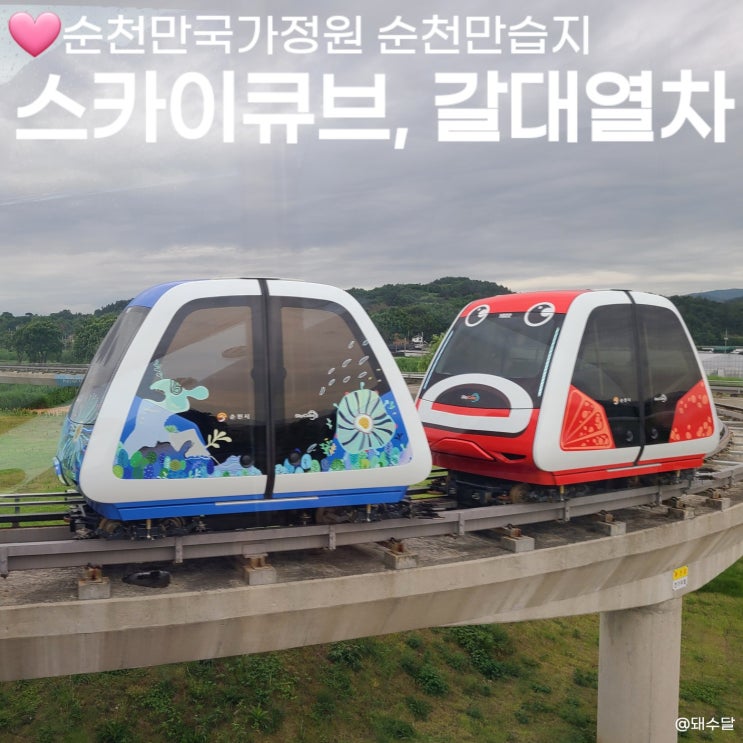 순천만습지 스카이큐브 가격 갈대열차 순천만국가정원 네이버 블로그