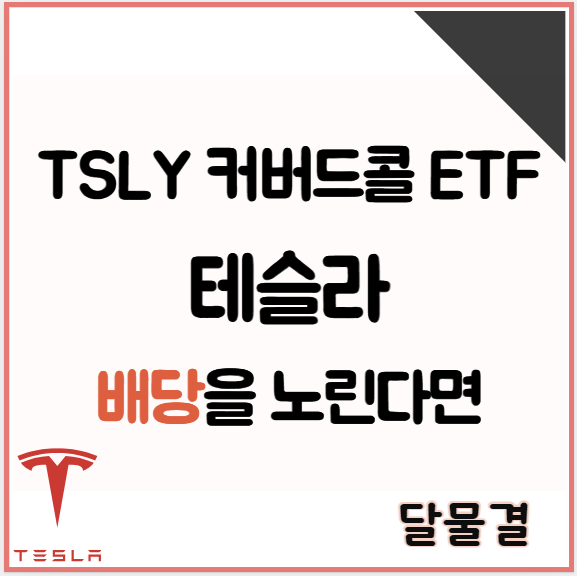 TSLY 커버드콜 ETF 테슬라 배당을 노린다면 : 네이버 블로그