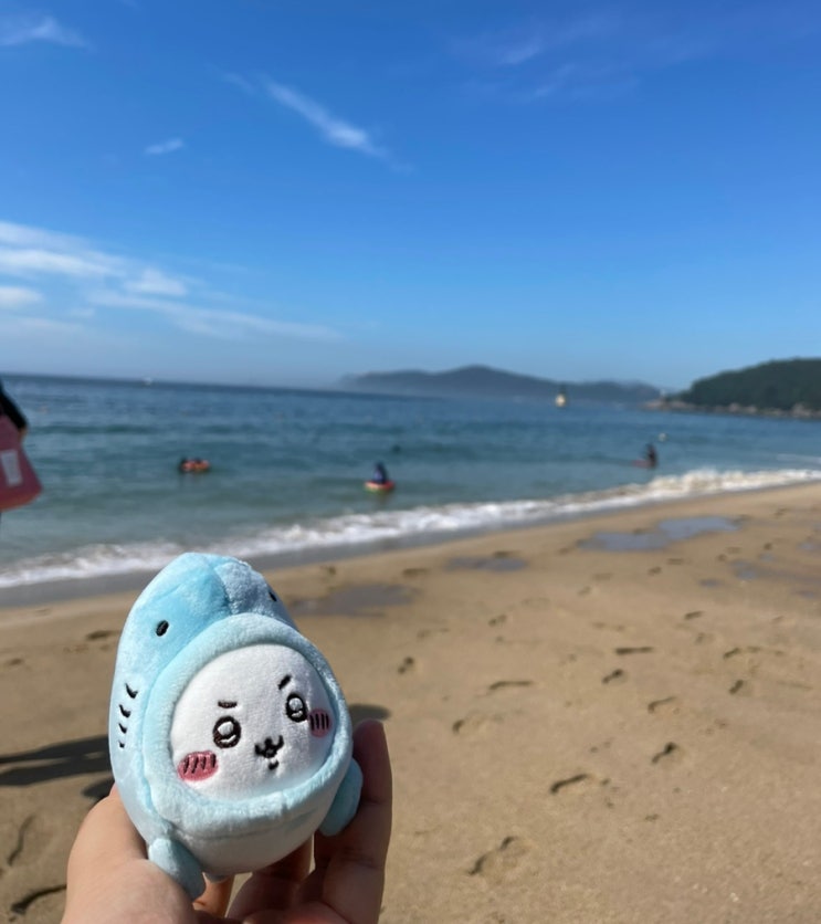 2023년 부산 가족여행 (0802~0803) / 금강휴게소 / 해운대 앙코르 라마다 / 랑데자뷰 / 미포집 / 베이크백 ...