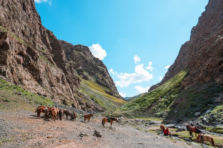 [몽골] 고비사막 6박7일 여행 : 욜링암 (Yolyn Am) : 네이버 블로그