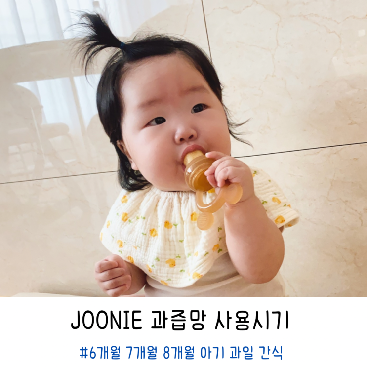 Joonie 주니 과즙망 사용시기 6개월 7개월 8개월 9개월 10개월 아기 과일 시기까지 네이버 블로그