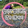 제천 월악산 엘림팬션 B동2층 독채 5세와 가기 좋은 캠핑장 계곡 냇가가 걸어서 1분거리 코앞이에요 네이버 블로그
