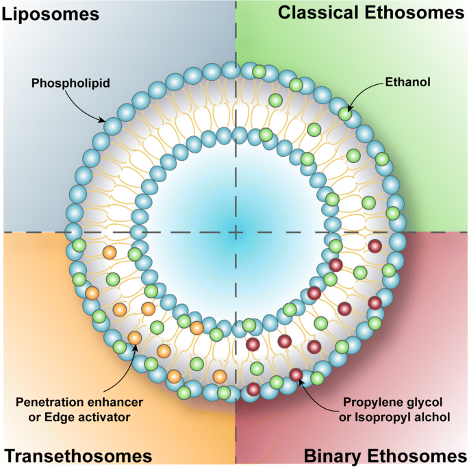 [1년 전 오늘] '에토좀 PTT'가 뭐야?(Ethosome,3세대 골드PTT,플래티넘PTT,차이점,시술방법,시술주기,효과,원리 ...