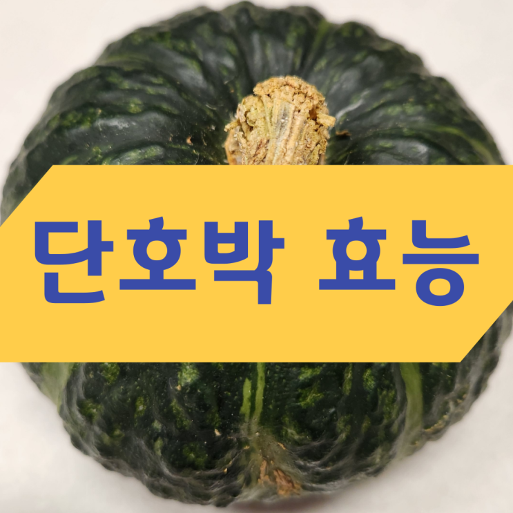 단호박 효능 영양 성분 탄수화물 칼로리 부작용 알레르기 네이버 블로그