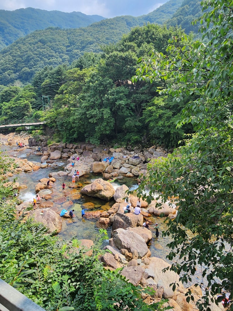 지리산 거림 계곡 펜션 식당 닭숯불구이 계곡물놀이 당일치기 : 네이버 블로그