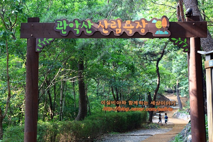 아이와 갈만한곳 경기도 숲놀이터 안양 유아숲체험원 관악산 산림욕장 둘레길 서울근교 유아숲체험장 네이버 블로그
