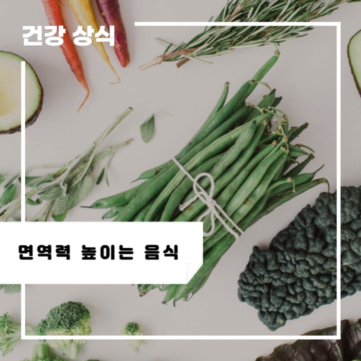 면역력 확실히 높이는 음식 10가지 정리 면역력에 좋은 음식과 과일은 네이버 블로그