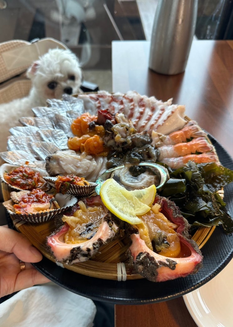 신선한 해산물 모듬 먹을 수 있는 제주 성산 온평바다한그릇 반려견 동반🐶 네이버 블로그