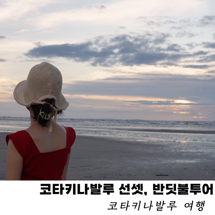 코타키나발루반딧불투어 선셋투어 준비물 봉가완 맹그로브숲 원숭이 호텔픽업 패키지 현지 예약하기feat호텔 픽업 드랍