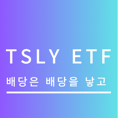 초고배당주 TSLY ETF 소개와 배당금으로 배당주에 재투자하는 방법 고민해 보세요. : 네이버 블로그